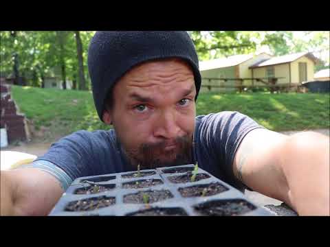 WE NEED MORE SNAKES!!! - YouTube