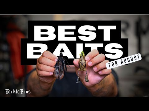 Best Baits for Catching Bass in August - YouTube