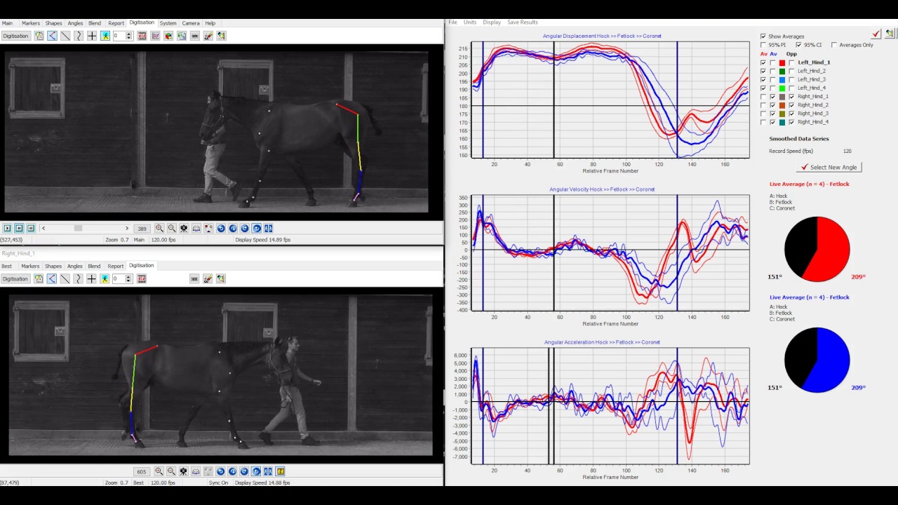 Quintic Multi-Trial Analysis of the Fetlock Angle - Quintic ...
