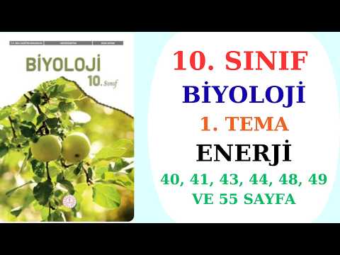 10. SINIF BİYOLOJİ DERS KİTABI 1. TEMA ENERJİ 40, 41, 43, 44, 48, 49 VE 55 SAYFA
