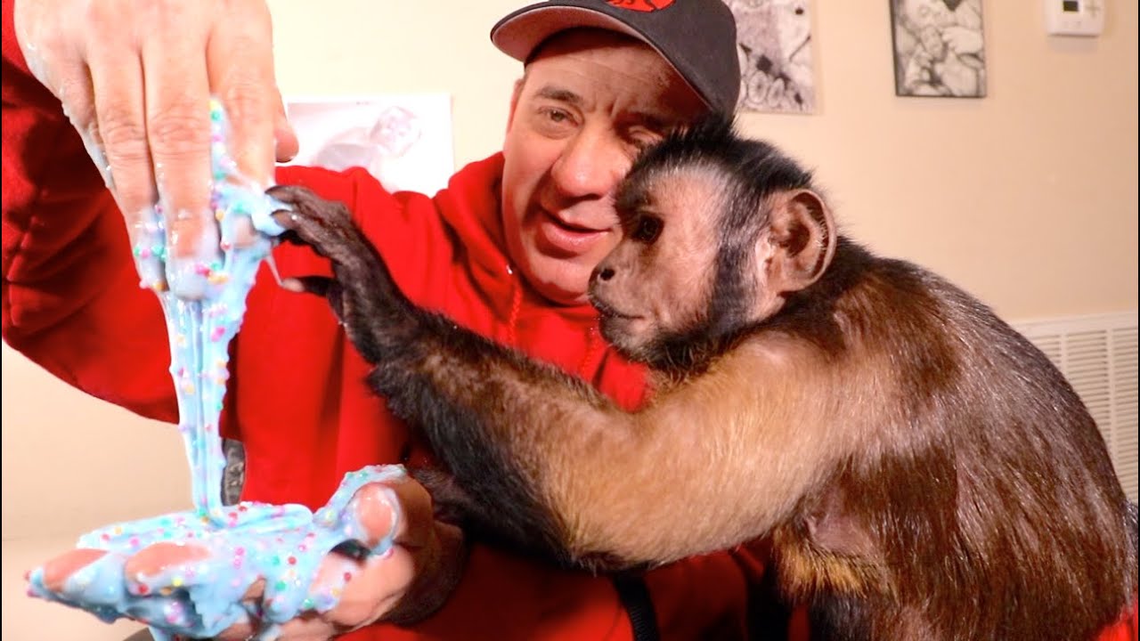 Monkey Plays with Messy Slime! - YouTube