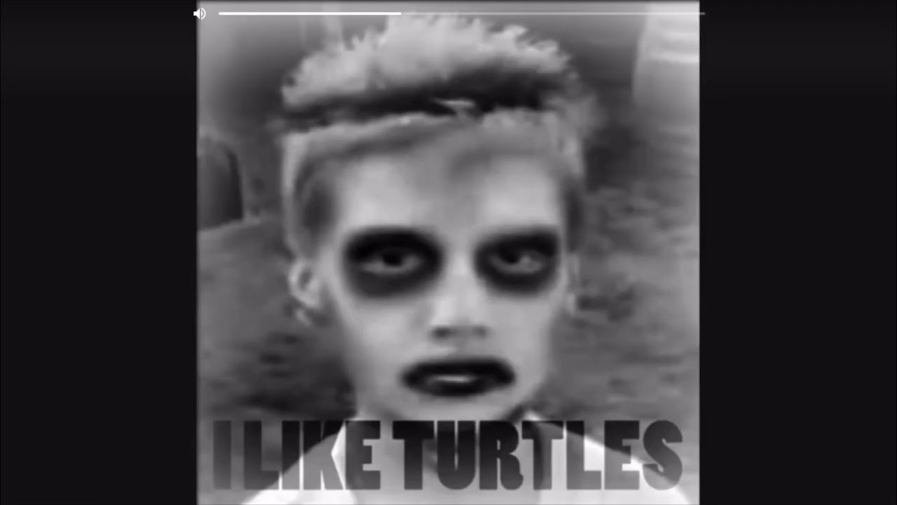 1 Hour I Like Turtles (Remix) - YouTube