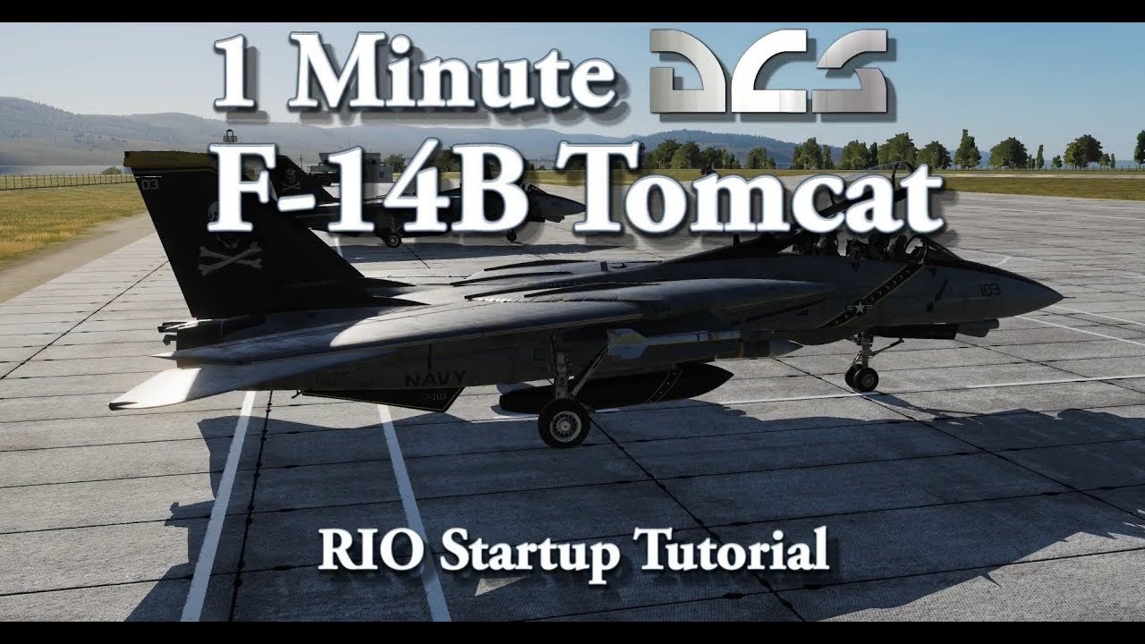 1 Minute DCS - F-14B Tomcat - RIO Startup Tutorial - YouTube