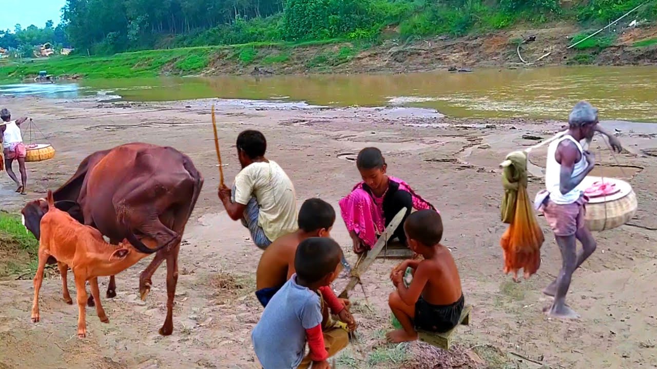 Beautiful Village Life In Bangladesh Farmer Daily Routine In Village ...