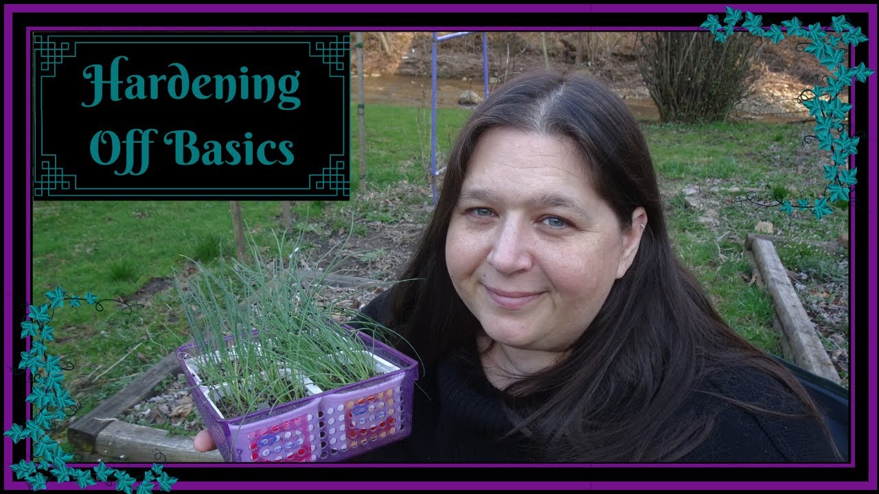 Gardening 101 | The Basics of Hardening Off Seedlings - YouTube