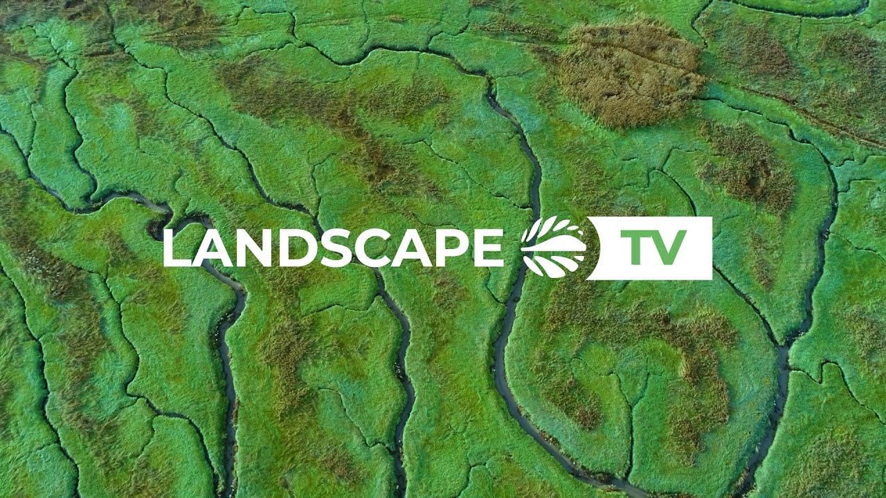 Announcing Landscape TV - YouTube