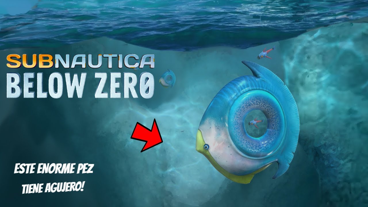 Subnautica BELOW ZERO TITAN HOLEFISH PEZ QUE TE DA OXÍGENO LaVelociBlue ...