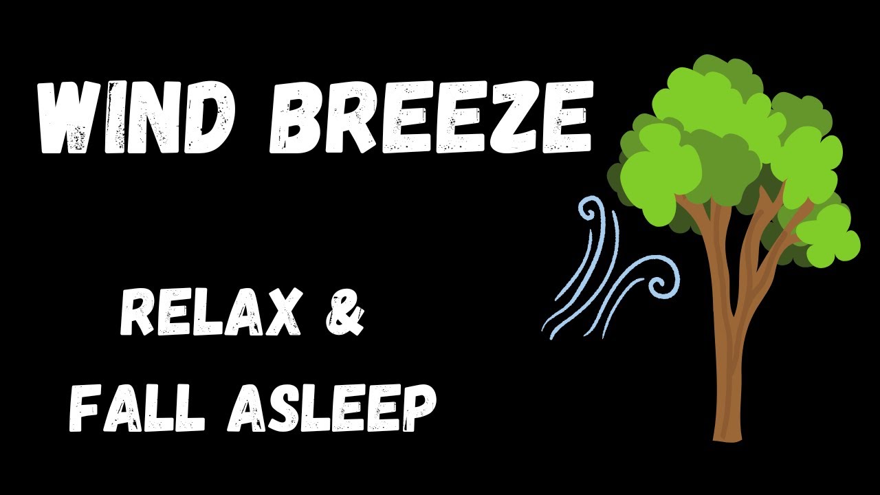 RELAX INSTANTLY| wind sounds| Just Calm down - YouTube