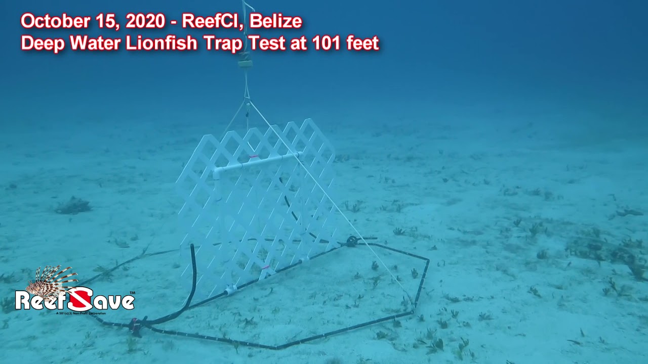 ReefSave.org. Lionfish Purse Trap Test in Deep Water 101 Feet - Built ...