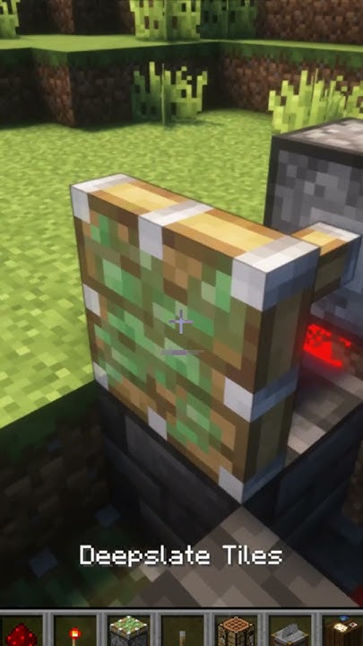 ULTIMATE BLOCK SWAPPER IN MINECRAFT #minecraft - YouTube