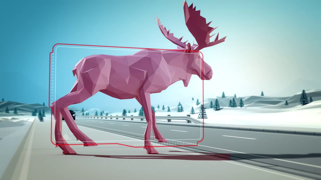 Volvo Animal Detection - YouTube