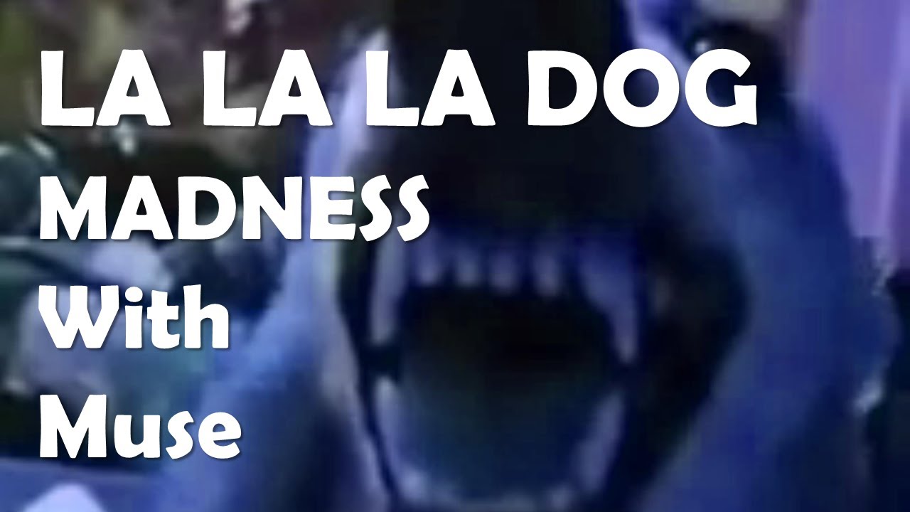 La La Dog🐕 Madness Muse - YouTube