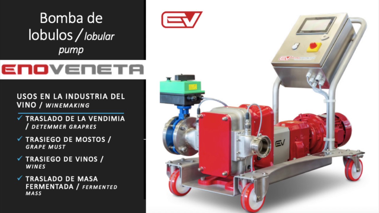 Bomba lobular / Lobular pump / Pompe à Lobes / Enoveneta / Miguel ...