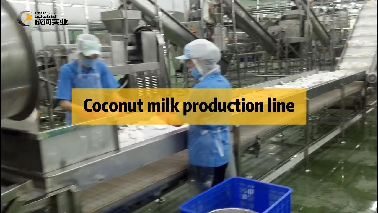 Shanghai Chase reveals 26 simple facts about coconut milk production ...