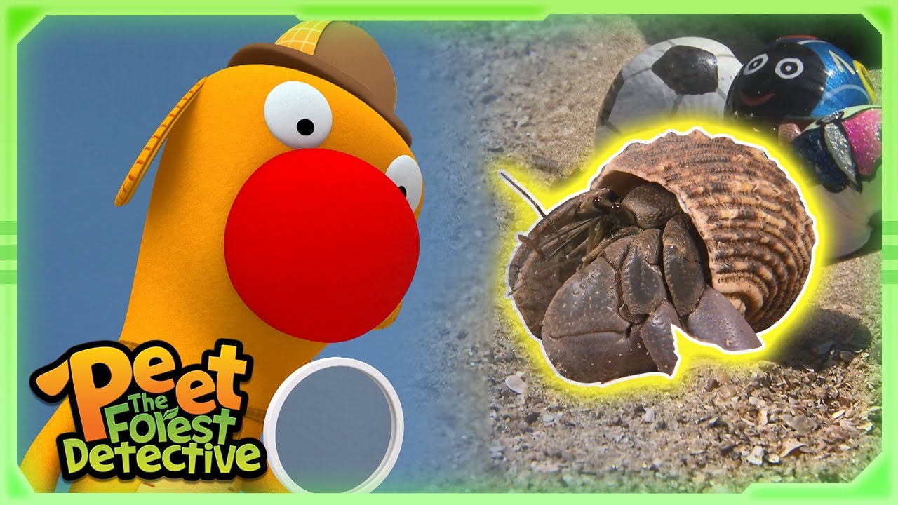 Finding the Lost Sea Shell! 🐚🔍 | Full Episode | Cartoons for Kids ...