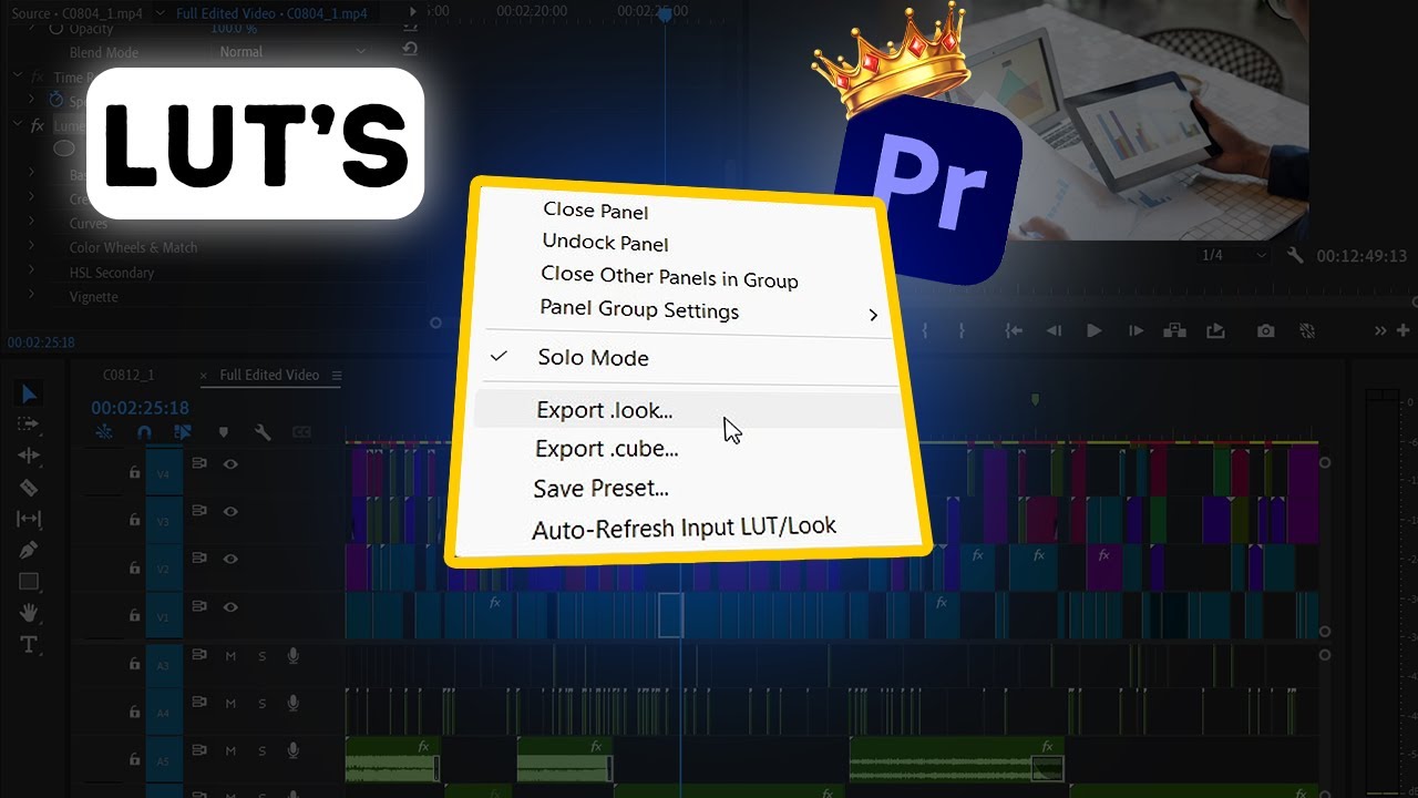 How To Export Custom LUT in Adobe Premiere Pro? (Beginners Tutorial ...