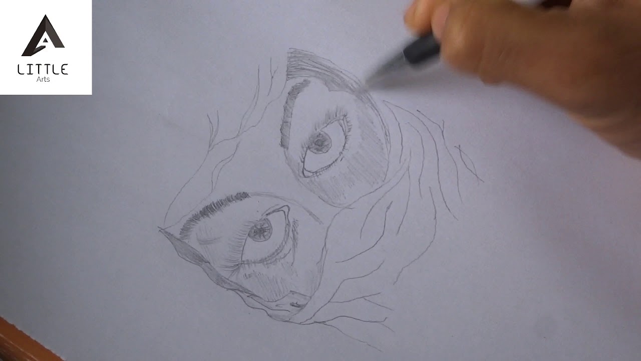 Mask diagram in pencil sketch (#10) - YouTube