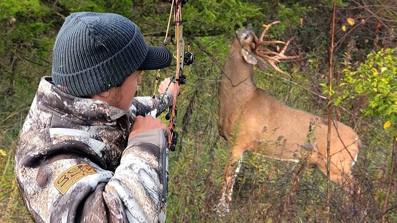 Biggest Doe of 2021! Big Buck At 18 Yards! - YouTube
