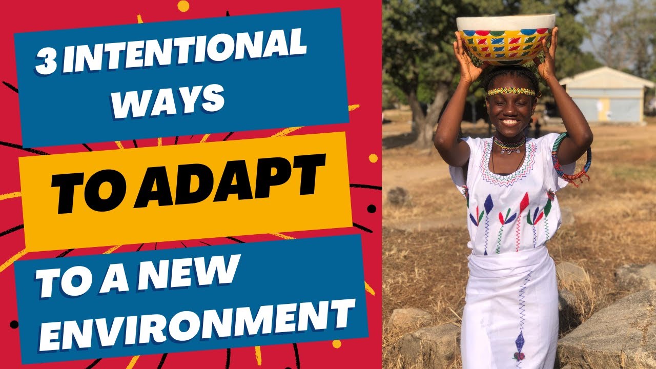 3 Intentional Ways To Adapt To A New Environment - YouTube