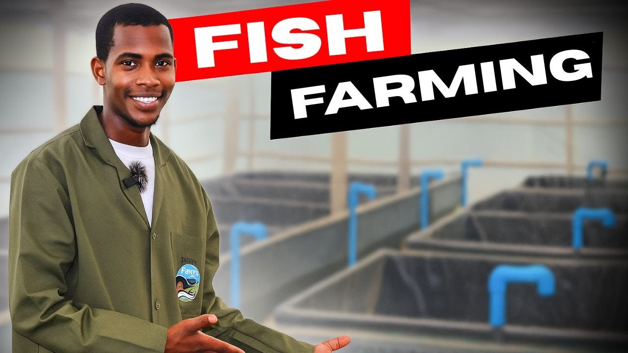 Sustainable Fish Farming in Kenya Starter Class to Millions - YouTube