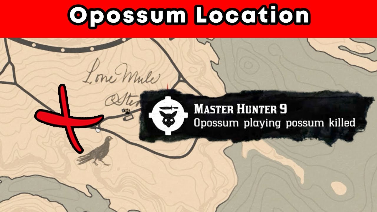 RDR2: Opossum Location. Master Hunter 9 Challenge EASY Guide - YouTube