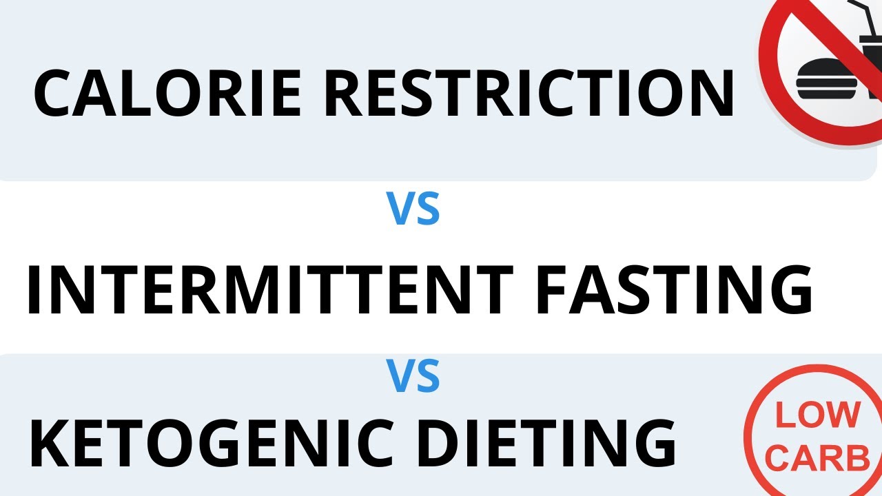 What's the best diet for muscle & weight loss? Intermittent Fasting vs ...