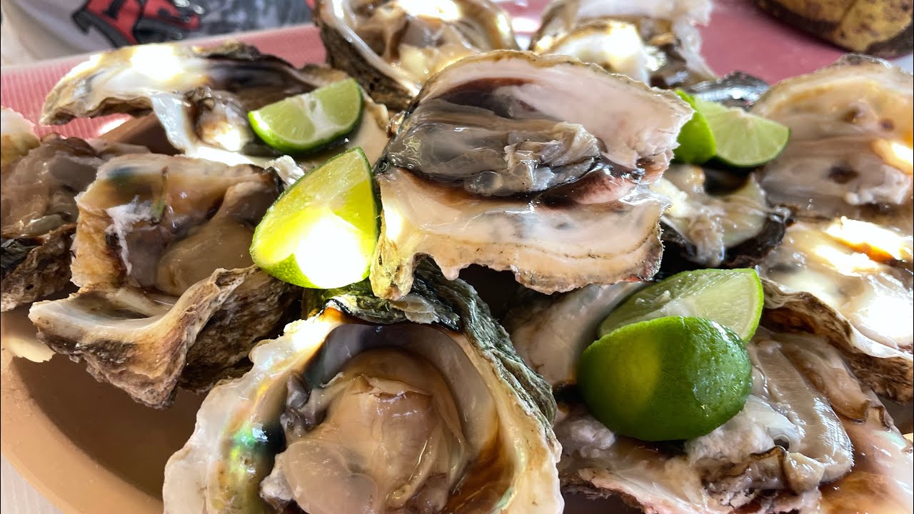Ostiones en playa agua blanca - YouTube