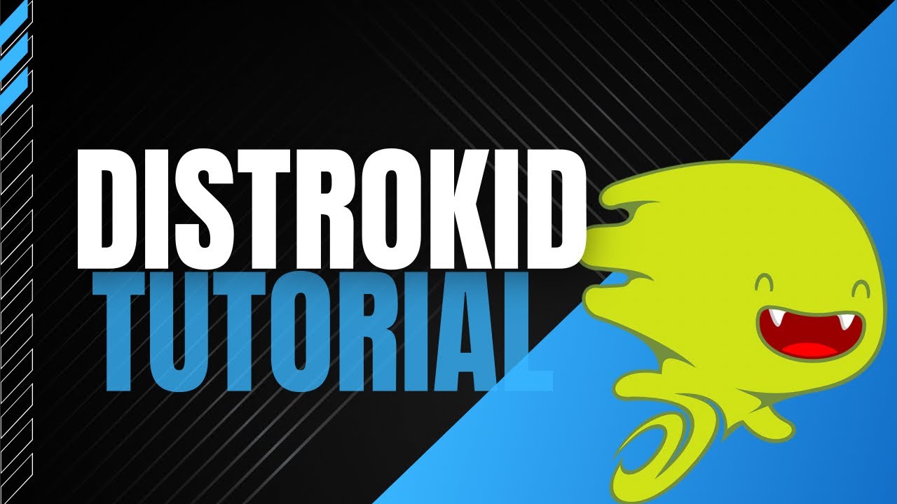 DISTROKID WALKTHROUGH EVERYTHING YOU NEED TO KNOW (MUST WATCH!) - YouTube