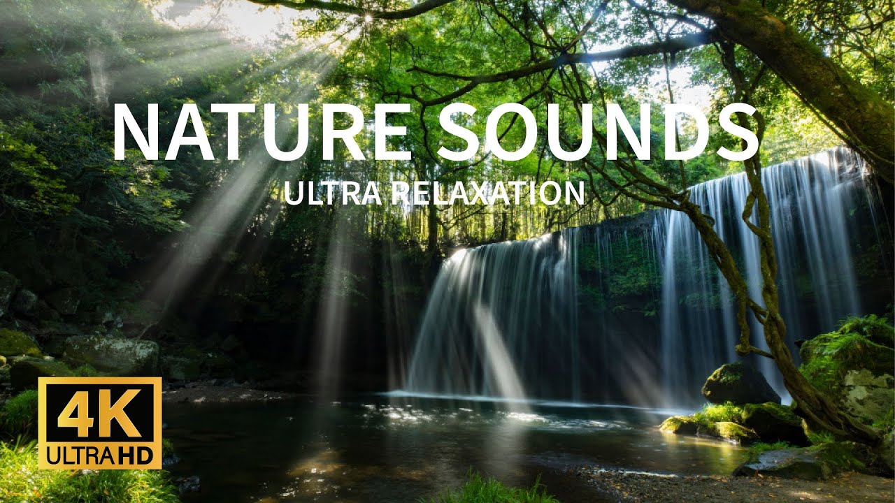 Relaxing Music | Forest Nature Waterfall | Soothing Music with Nature ...