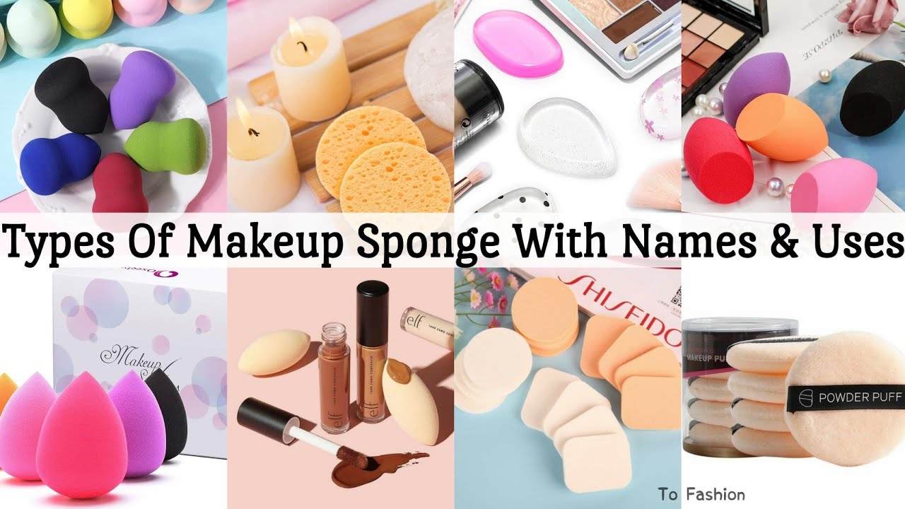 Types Of Makeup Sponges And Uses/Types Of Makeup Sponges With Name ...