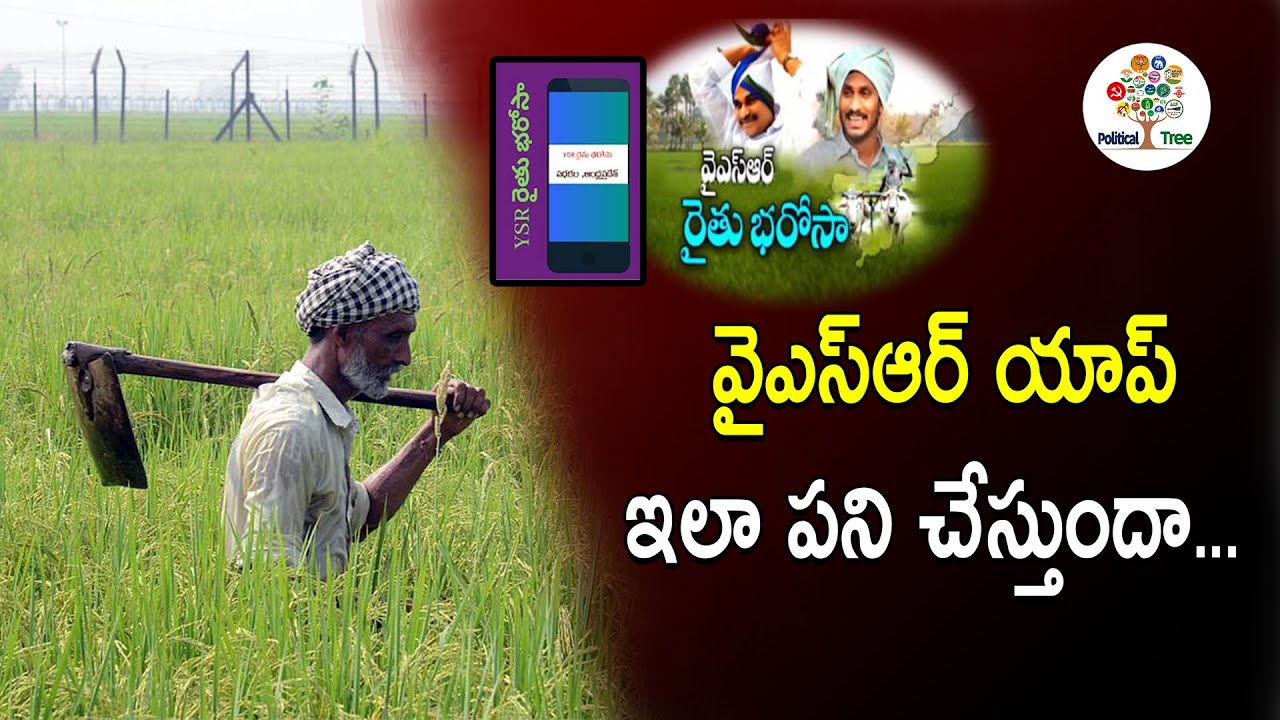 YSR Rythu Bharosa Details || YSR Rythu Bharosa How To Apply Online ...