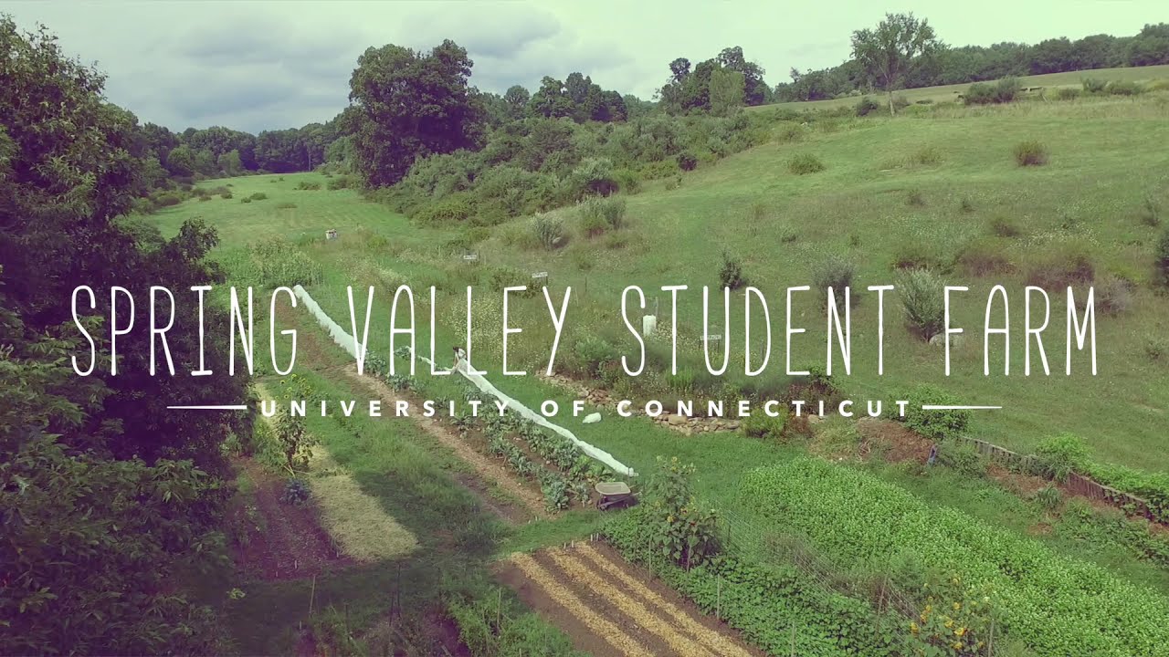Spring Valley Student Farm - YouTube