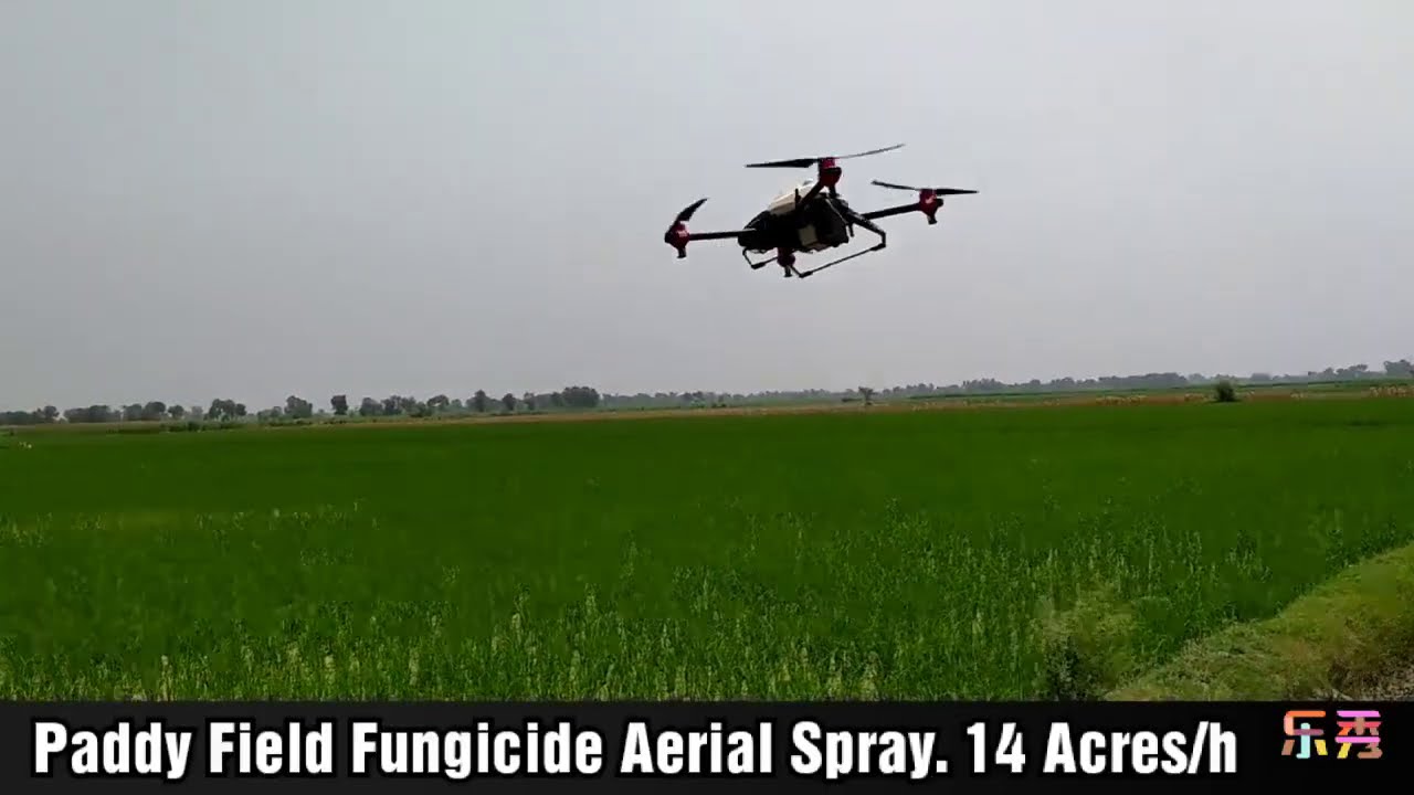 Paddy Fungicide Spray - YouTube