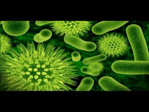 All viruses are good viruses - YouTube