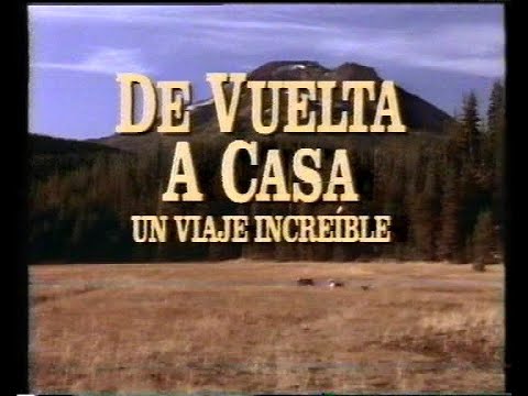 De vuelta a casa. Un viaje increible ( Trailer en castellano) - YouTube