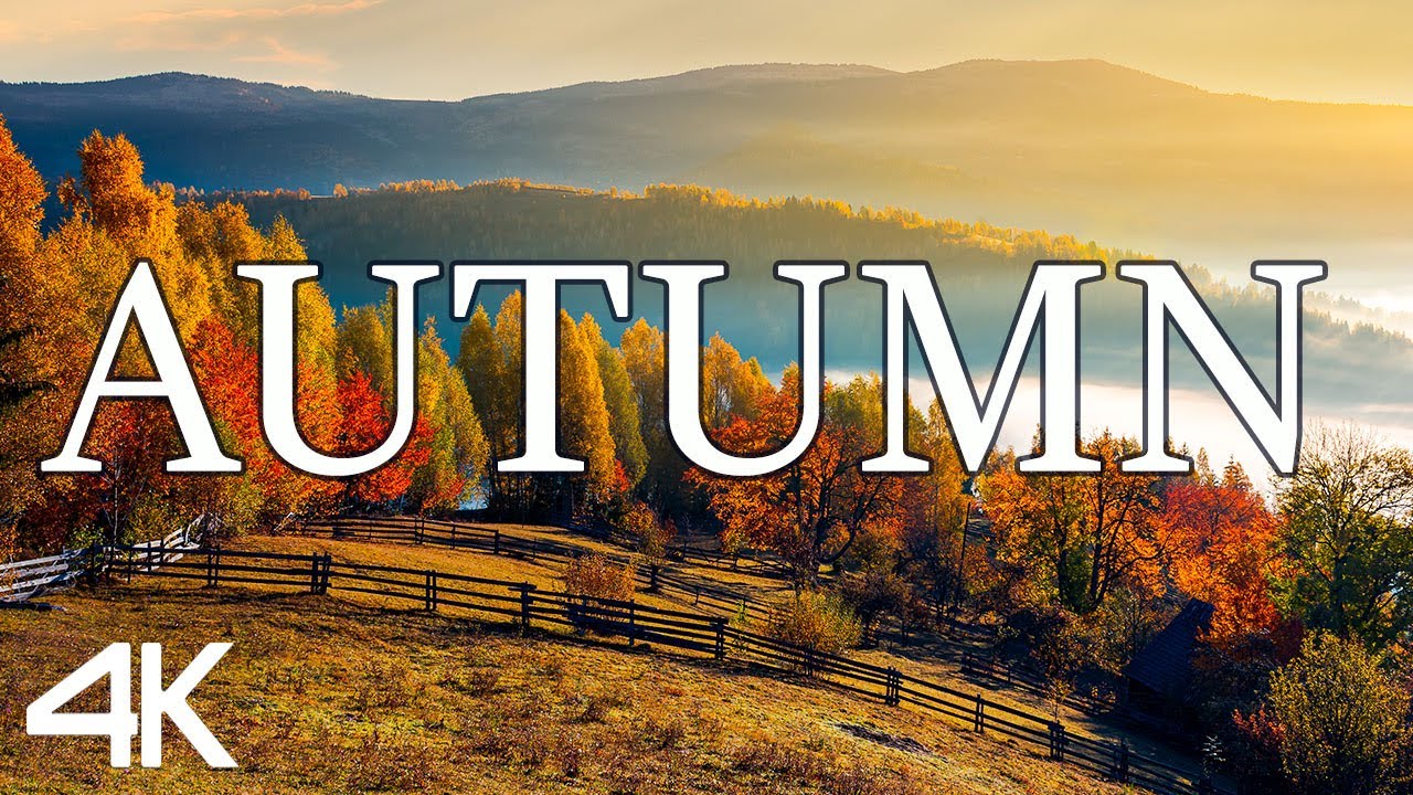 AUTUMN 4K • Nature Relaxation Film • Classical Music • 4k Video UltraHD ...