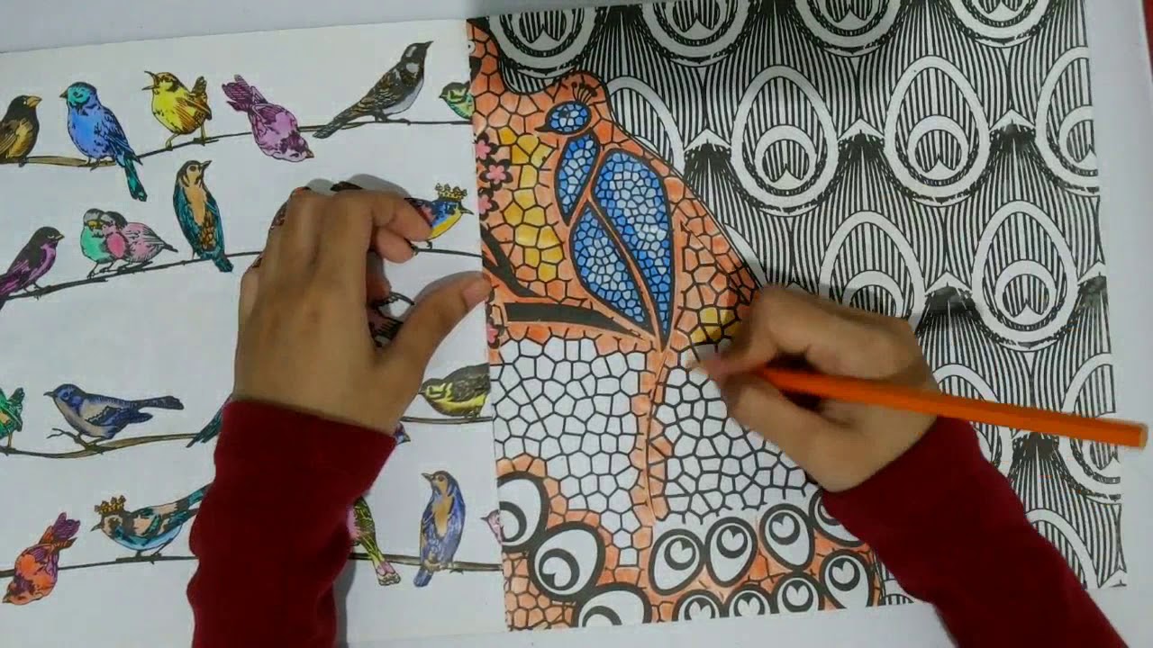 Adult Coloring Bird Magic Page 9 - YouTube