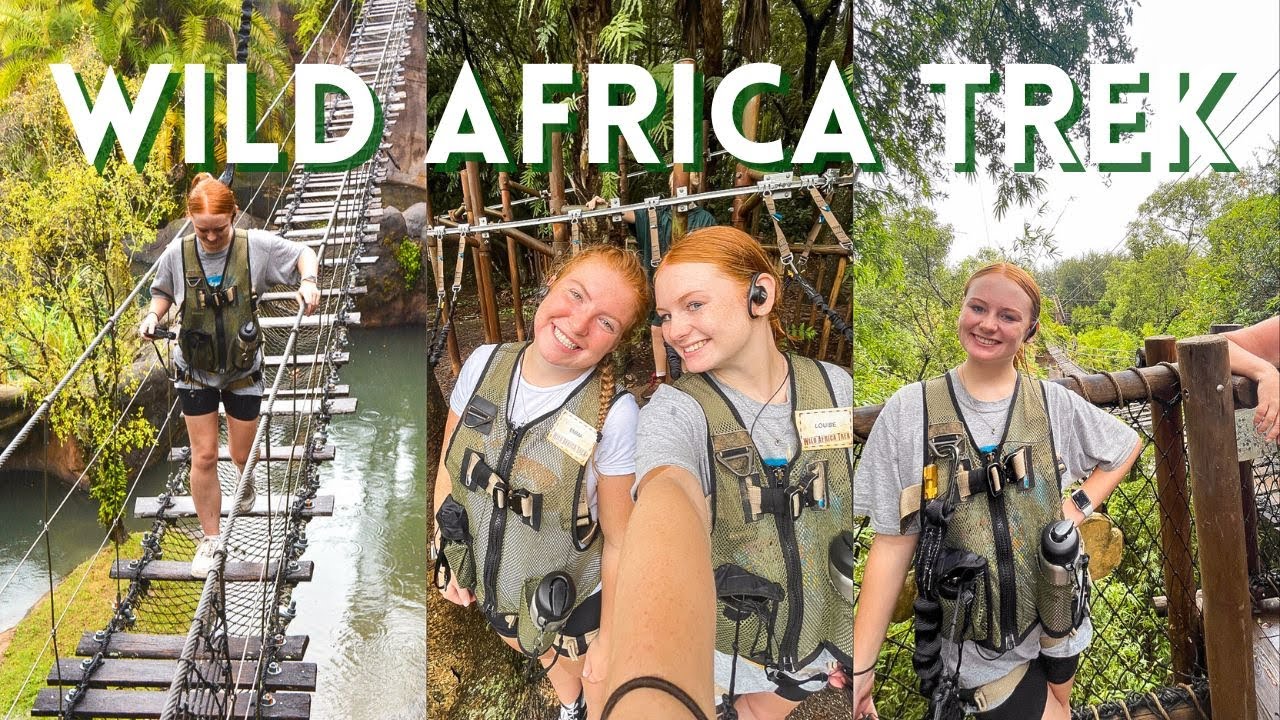 WILD AFRICA TREK AT DISNEY'S ANIMAL KINGDOM | 3 Hour Private Tour ...