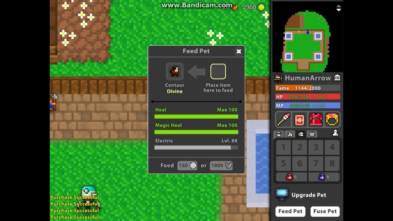 Rotmg - Maxing my divine pet!! [100-100] - YouTube