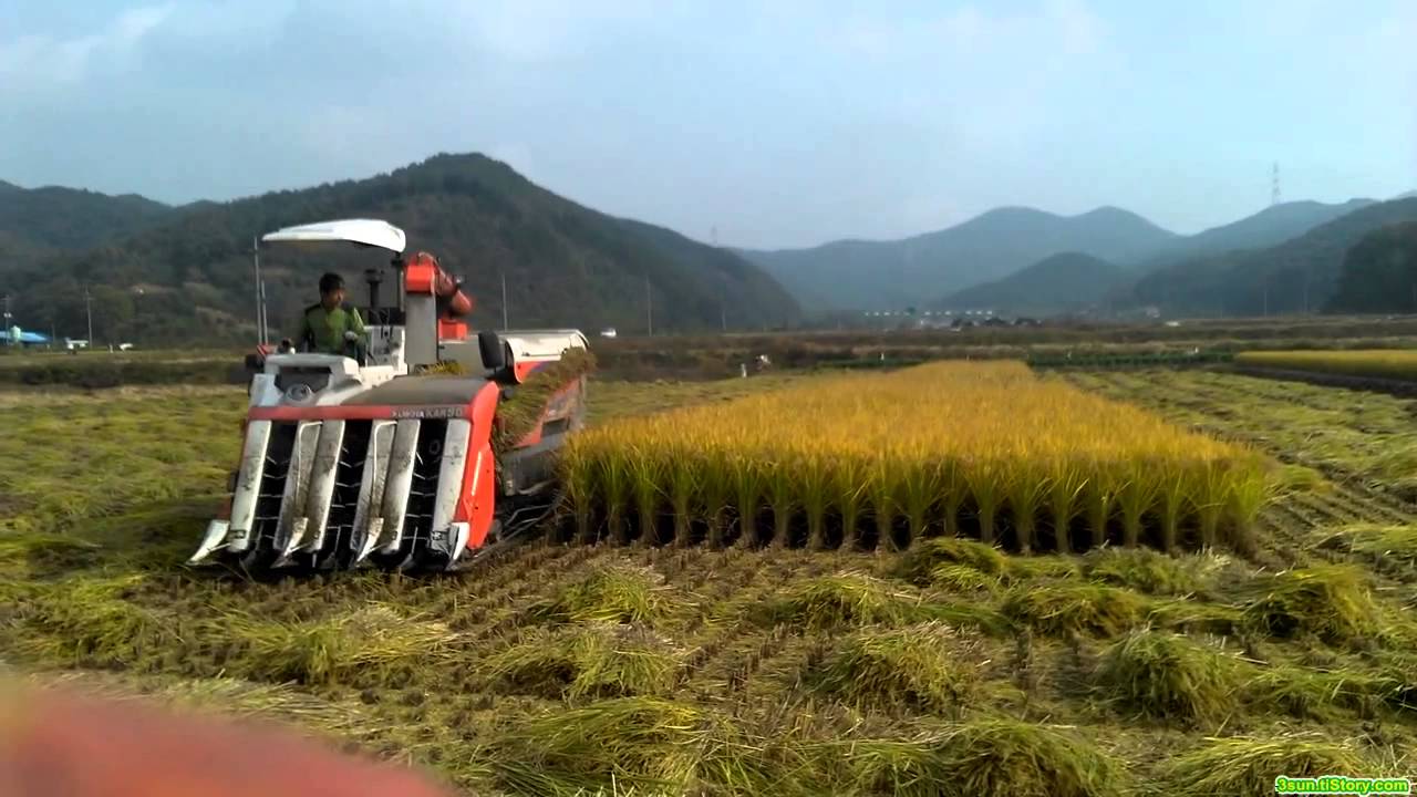 구보다 콤바인 6조 KAR90 Kubota Rice Combine Harvester - YouTube