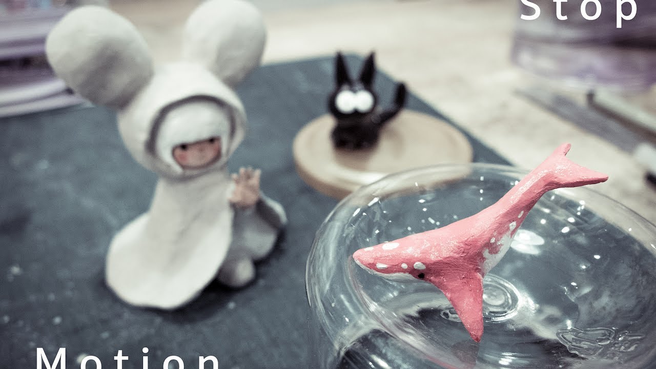 Stop motion : Cat and Whale - YouTube