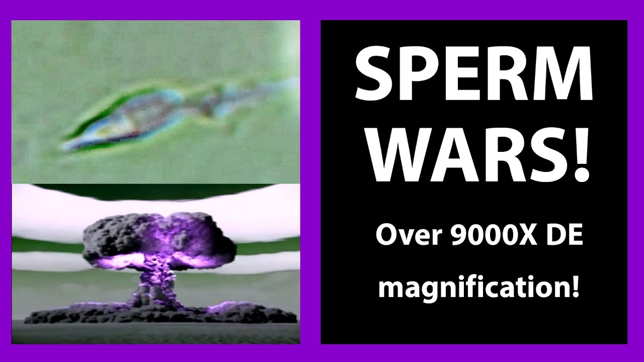 Insisting for Existing… From Cell to Battlefield. Sperm wars under ...