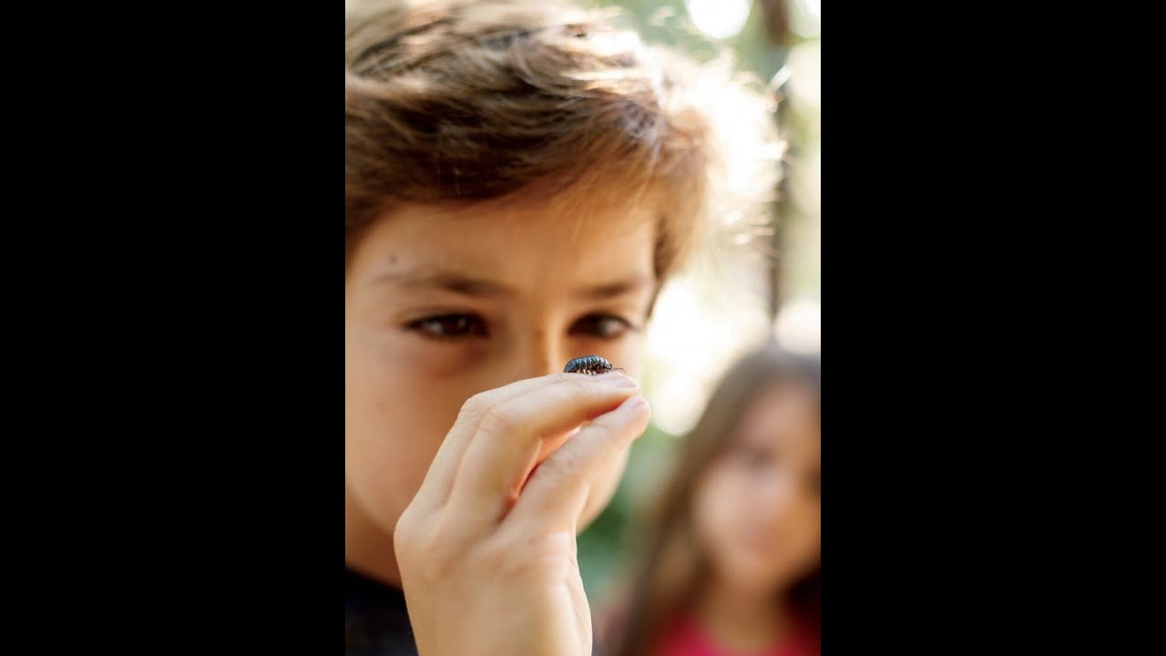 The Prayer of Observation. ROGATION SUNDAY - YouTube