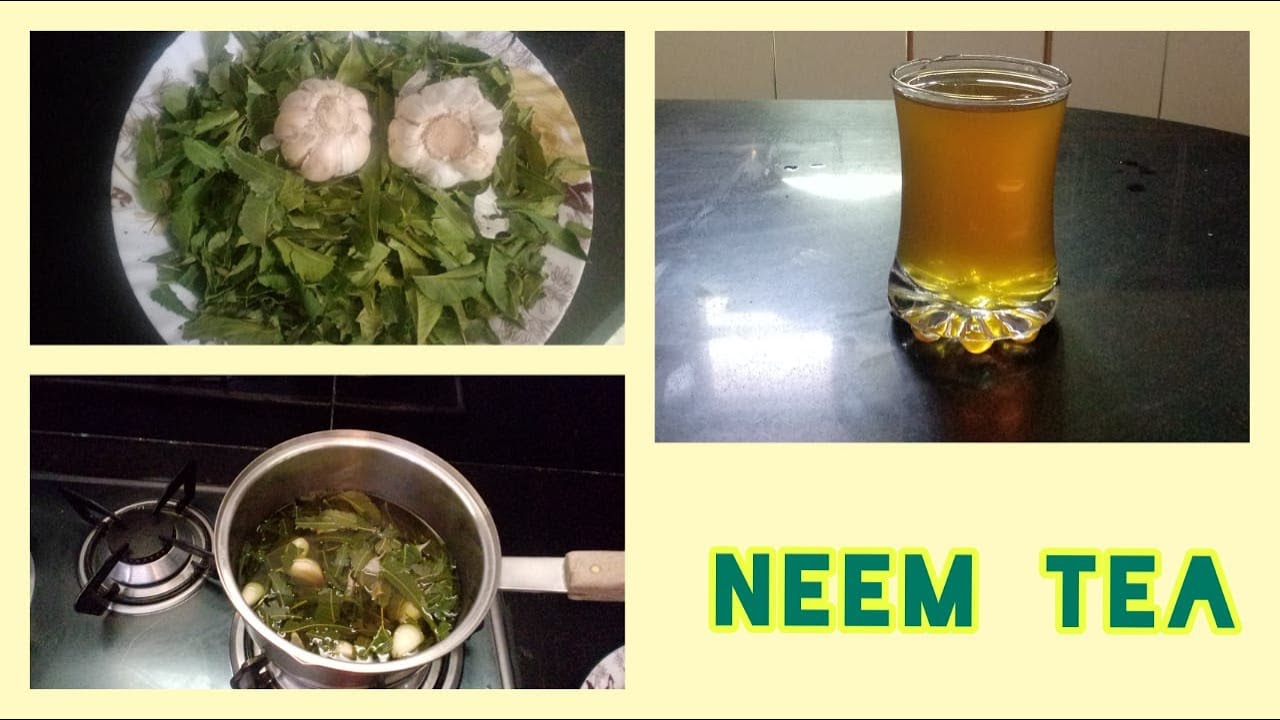 Best Home made Neem & Garlic pesticide by Coco's Garden - YouTube