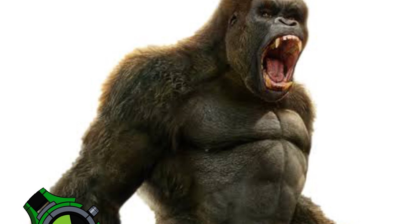 Ben 10 turning into King Kong - YouTube Ben 10 turning into King Kong - YouTube