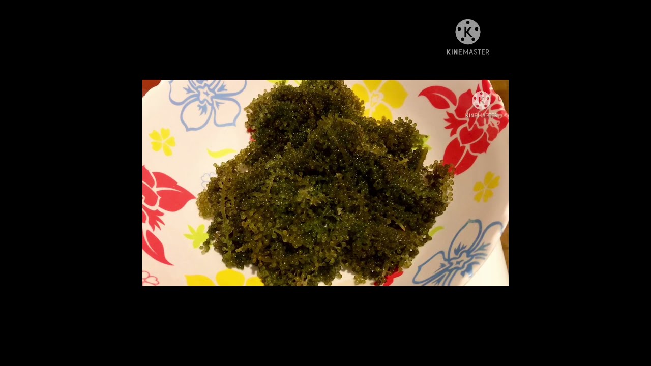 AR-AROSIP! #shorts - YouTube