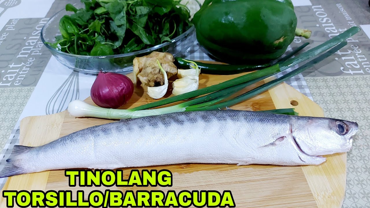 HOW TO COOK TINOLANG TORSILLO/BARRACUDA EASY RECIPE by Gianna Vlogs ...
