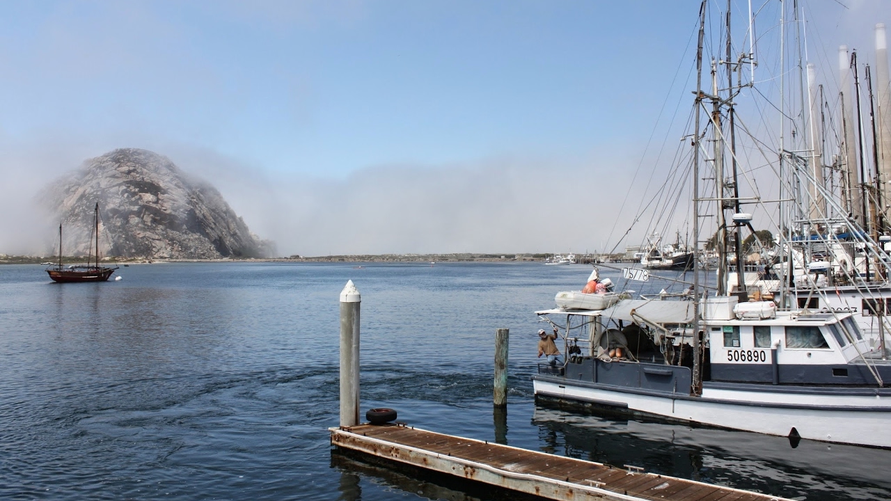 Live stream Michelle Michalski - YouTube