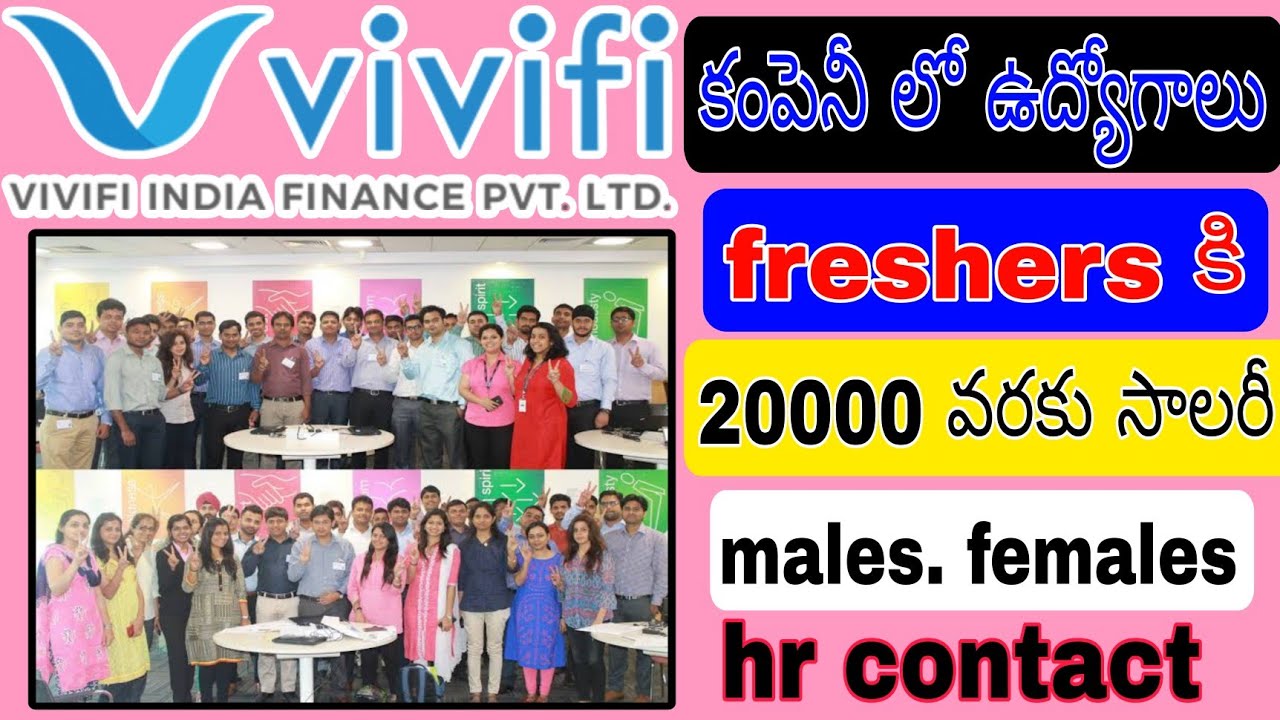vivifi company Private Limited process associate job requirement for ...