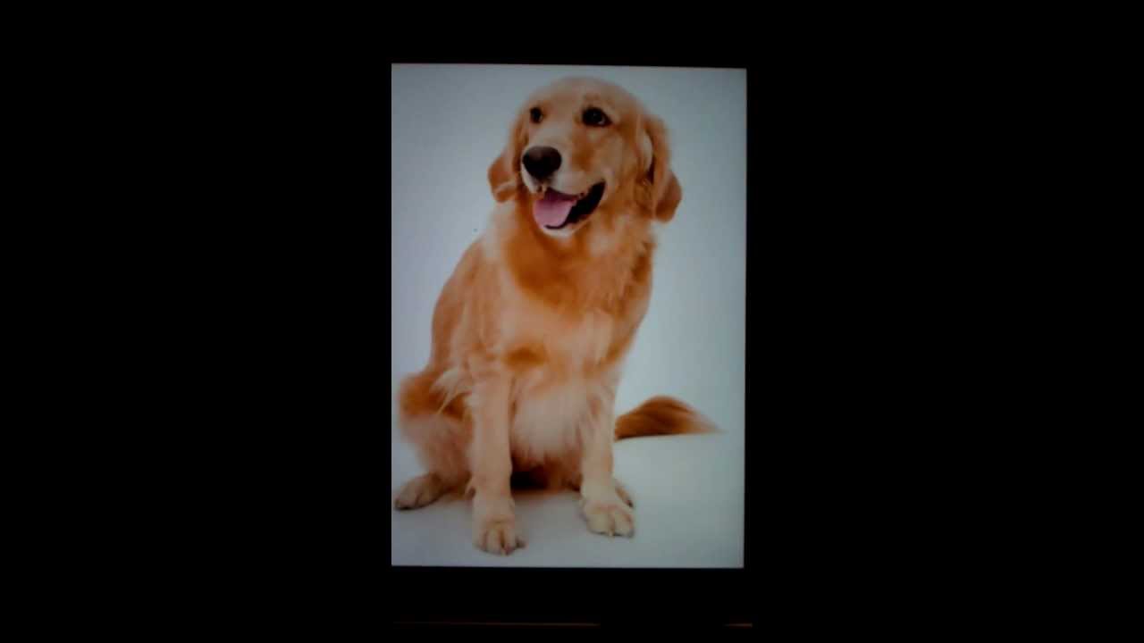 Sound Touch HD Full Version.mp4 - YouTube